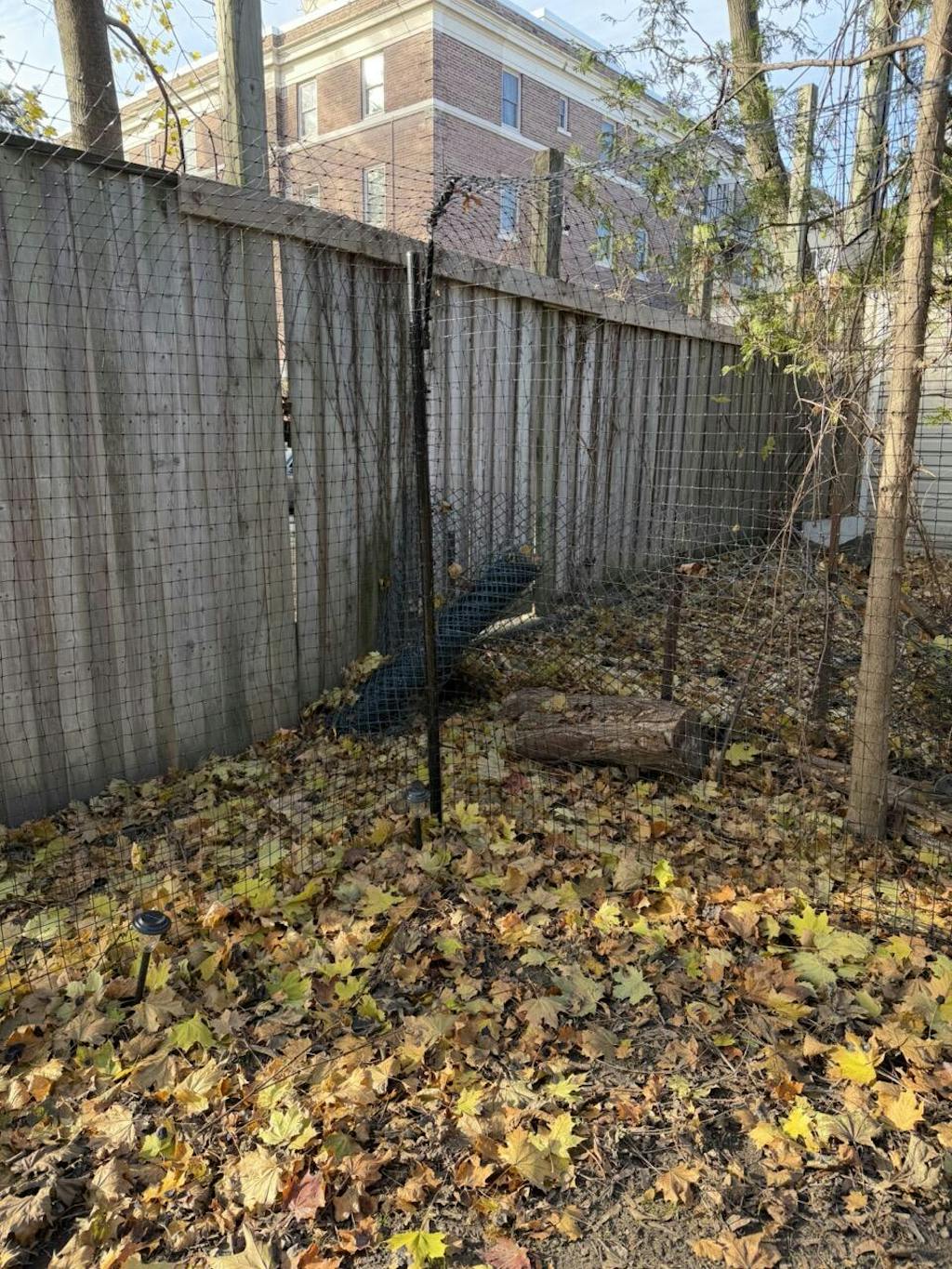 Cat Fences & Outdoor Cat Enclosures | Purrfect Fence