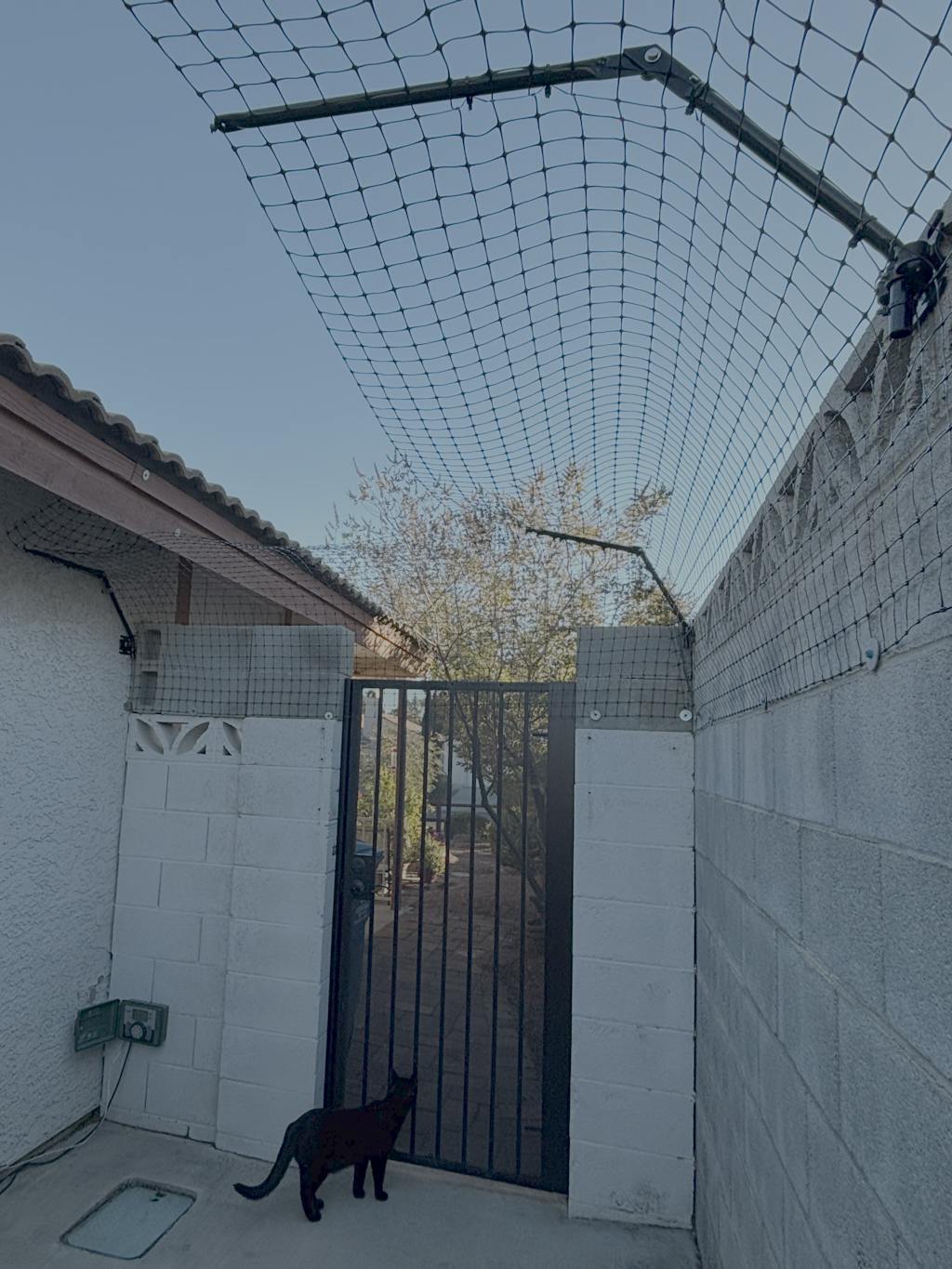 Cat Fences & Outdoor Cat Enclosures | Purrfect Fence