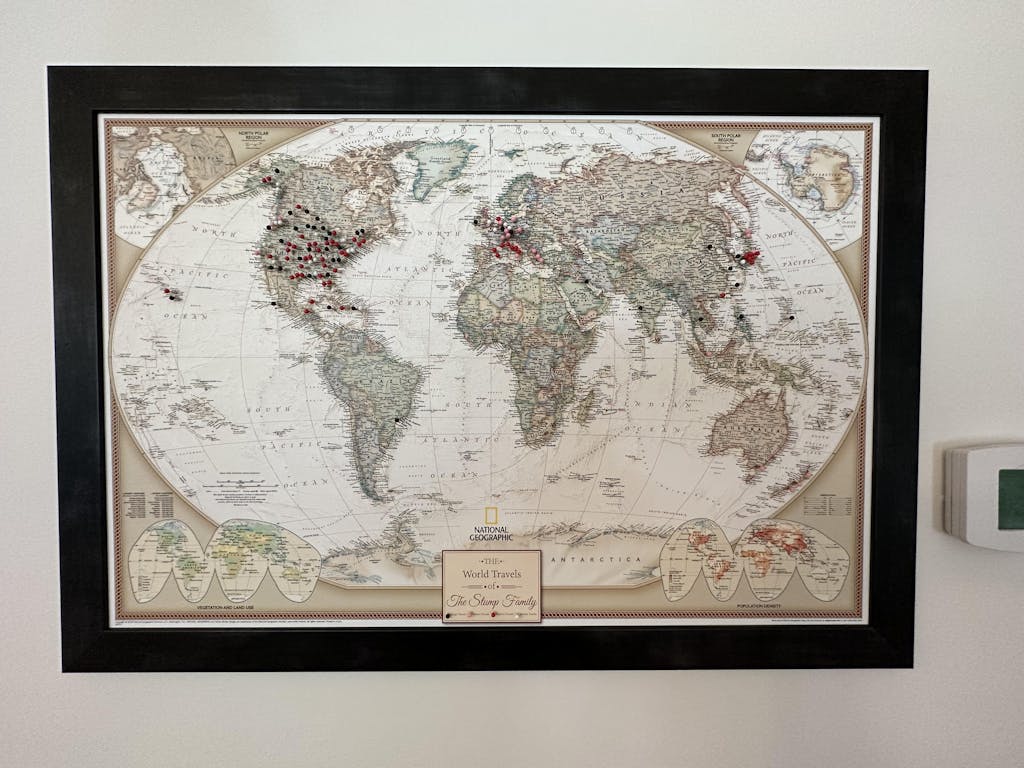 Canvas National Geographic Executive World Map - Push Pin Travel Maps