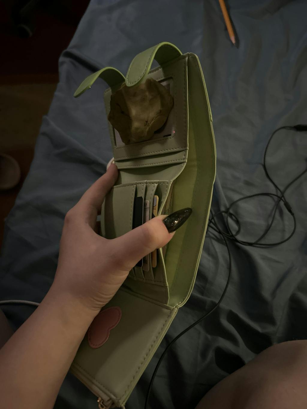 PREORDER Froggy Wallet – Pwuffy