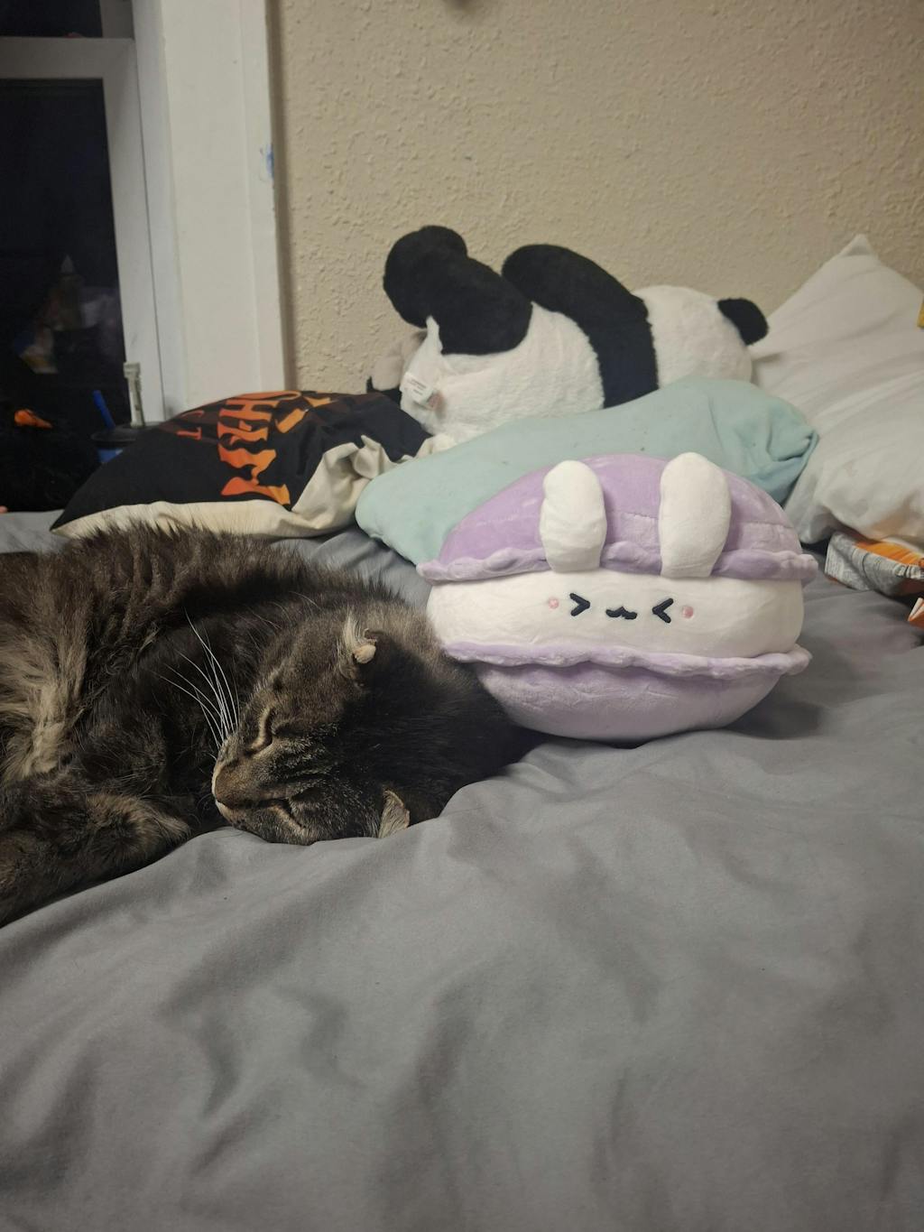 Macabun Plush – Pwuffy