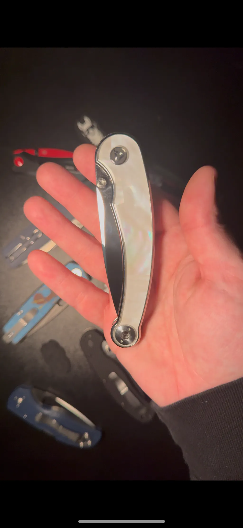 Dolphin | 14C28N | White pearl shell – QSP KNIFE
