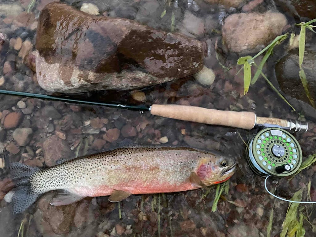 PURE 2 - R.L. Winston Fly Rods