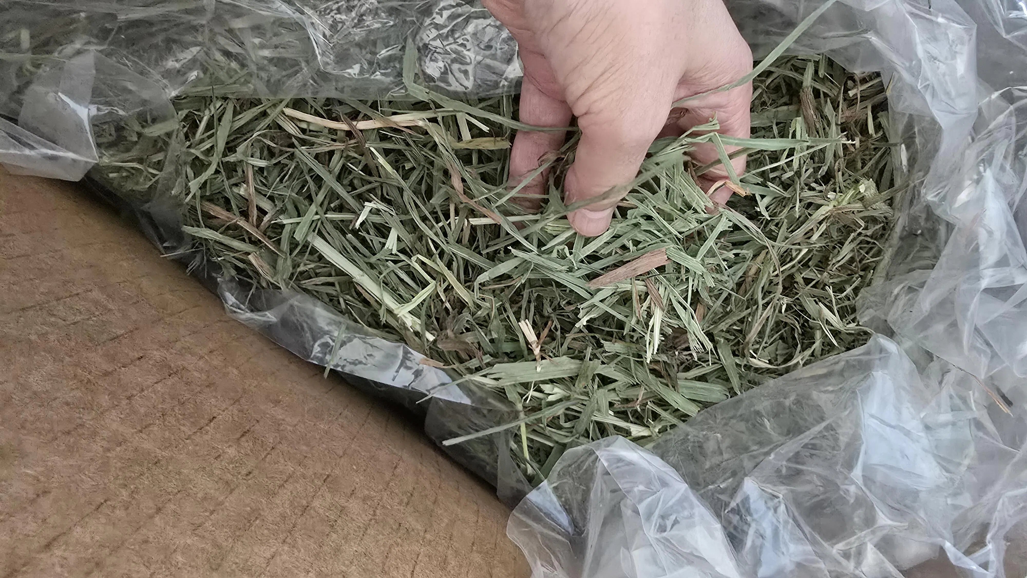 Ultra Premium Soft Timothy Hay
