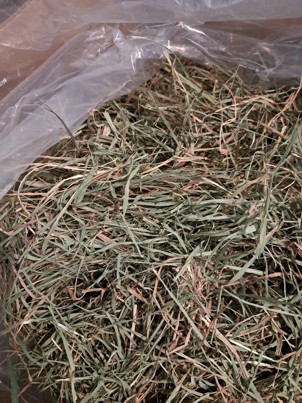 Ultra Premium Soft Timothy Hay