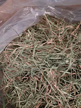 Ultra Premium Soft Timothy Hay
