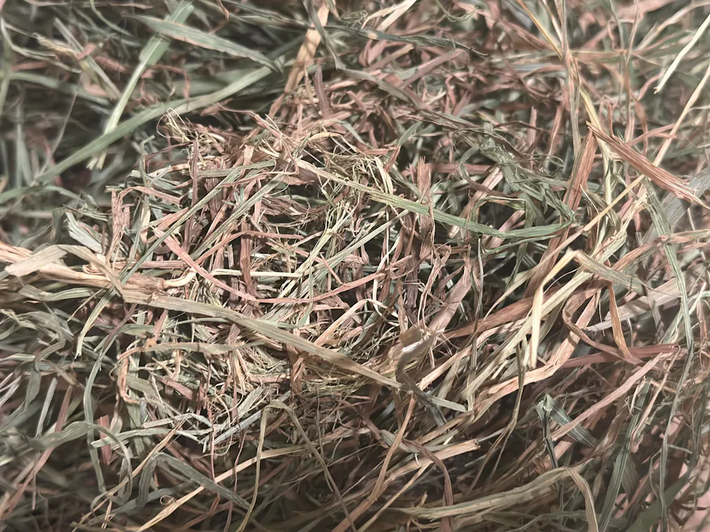 Ultra Premium Soft Timothy Hay