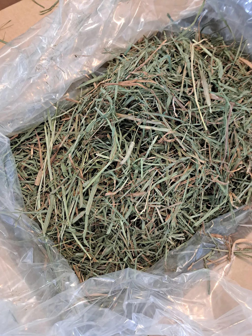 Ultra Premium Soft Timothy Hay