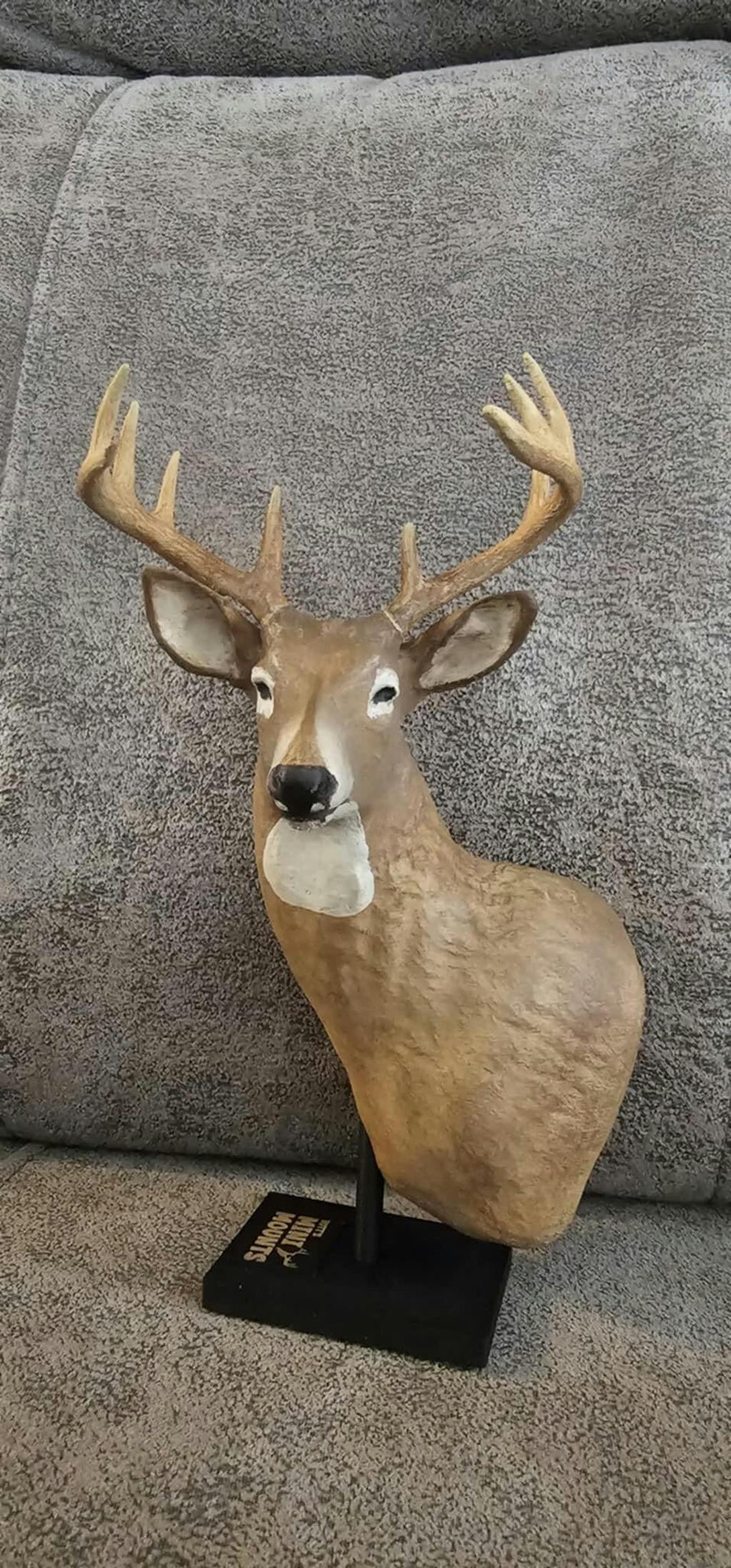 Custom Mini Painted Shoulder Mount (ANY SPECIES) – Raccoon Rigs