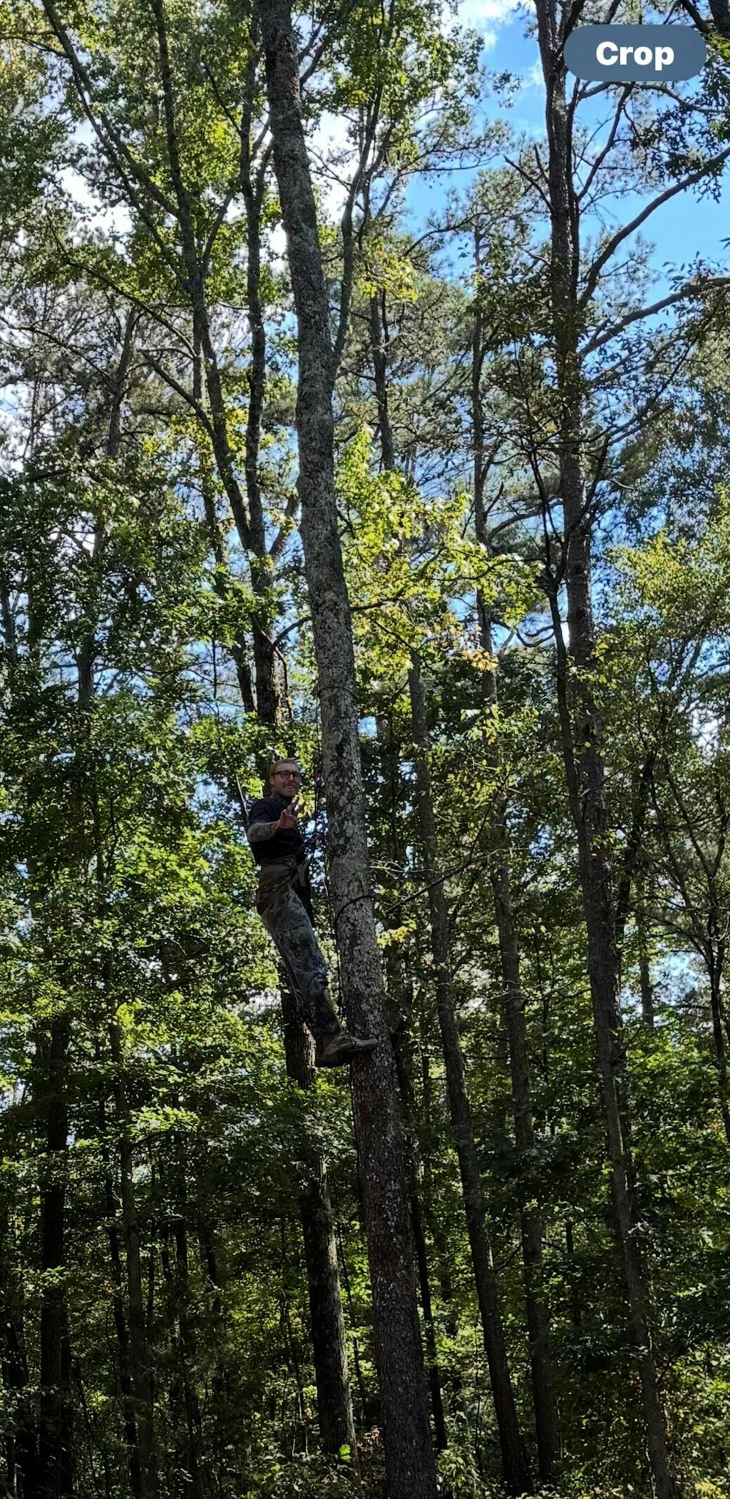 Stealthy Tree Climber | The BANDIT Climber – Raccoon Rigs
