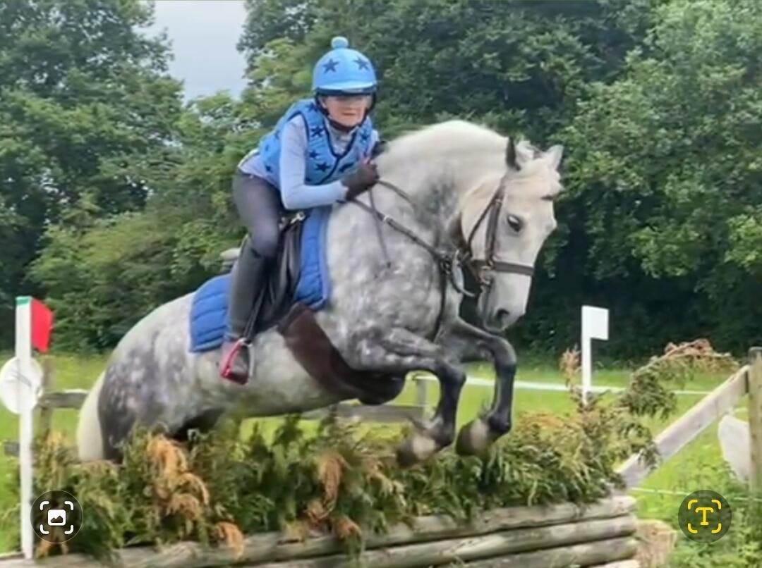 Custom Body Protector Cover | Riding Accessories | Racesafe