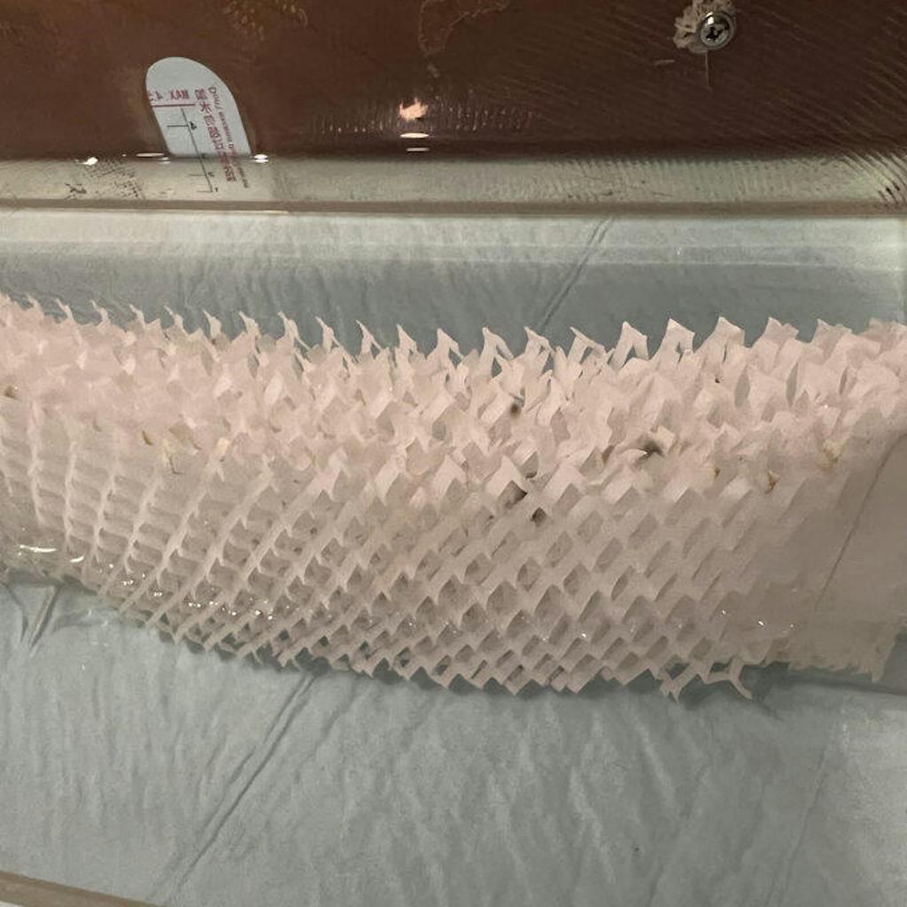 Raching cigar humidor MA50 – RACHING