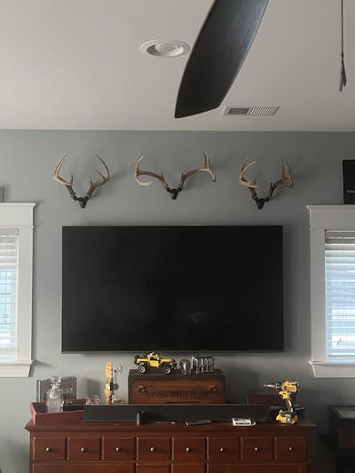 RACK HUB® Premium Antler Displays - Bring Nature Home
