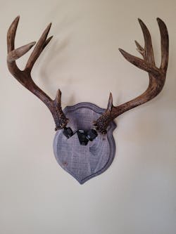 RACK HUB® Premium Antler Displays - Bring Nature Home