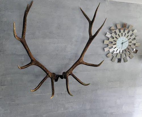 RACK HUB® Premium Antler Displays - Bring Nature Home