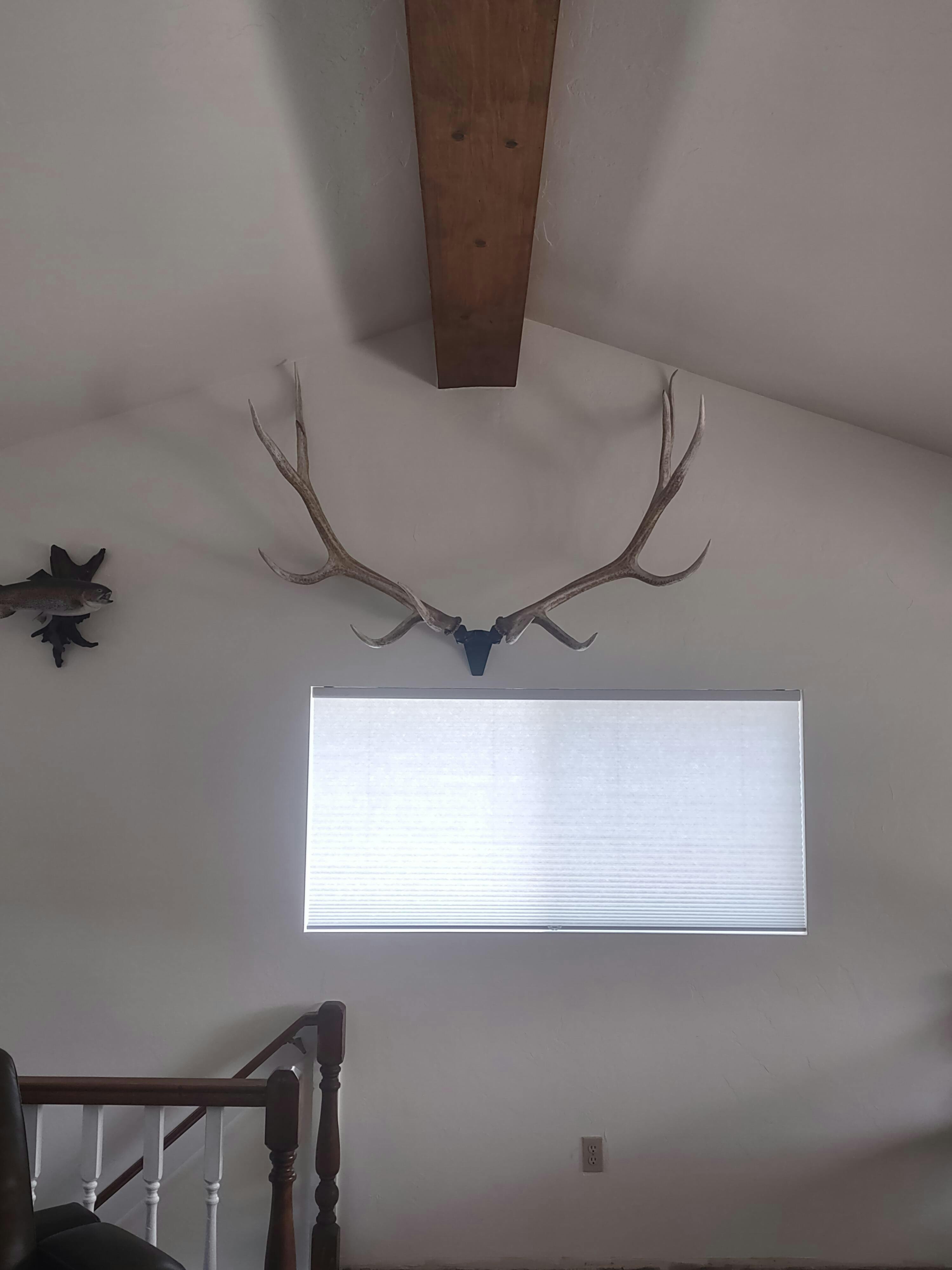 RH2 XL - DIY BIG GAME ANTLER MOUNTING SYSTEM – RACK HUB®