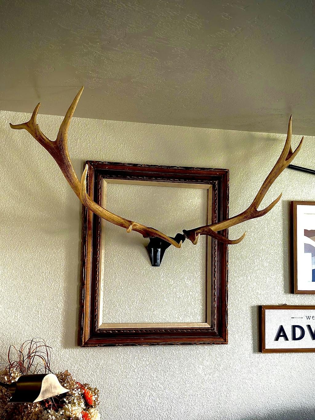 RH2 XL - DIY BIG GAME ANTLER MOUNTING SYSTEM – RACK HUB®