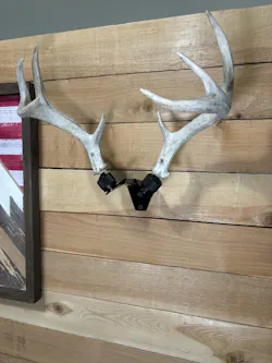 RACK HUB® Premium Antler Displays - Bring Nature Home
