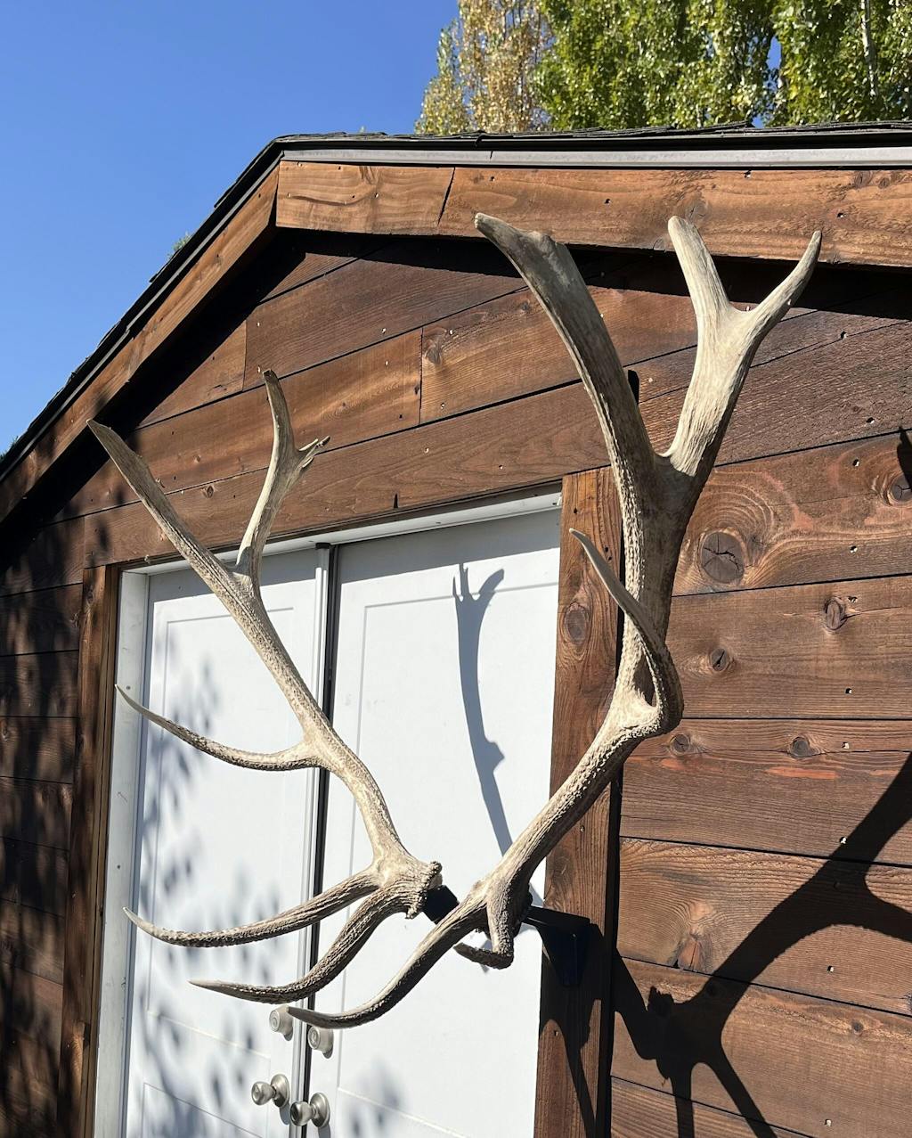 RH2 XL - DIY BIG GAME ANTLER MOUNTING SYSTEM – RACK HUB®