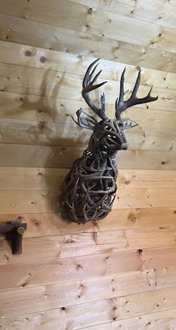 RACK HUB® Premium Antler Displays - Bring Nature Home