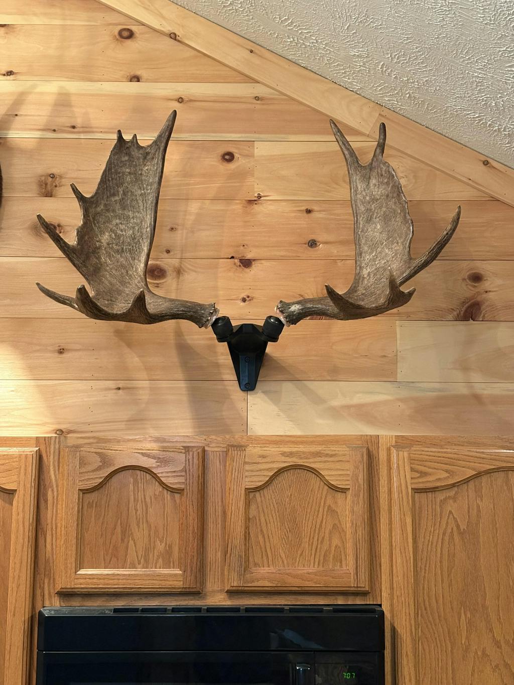 RH2 XL - DIY BIG GAME ANTLER MOUNTING SYSTEM – RACK HUB®