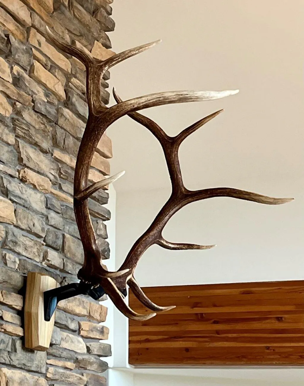 RH2 XL - DIY BIG GAME ANTLER MOUNTING SYSTEM – RACK HUB®