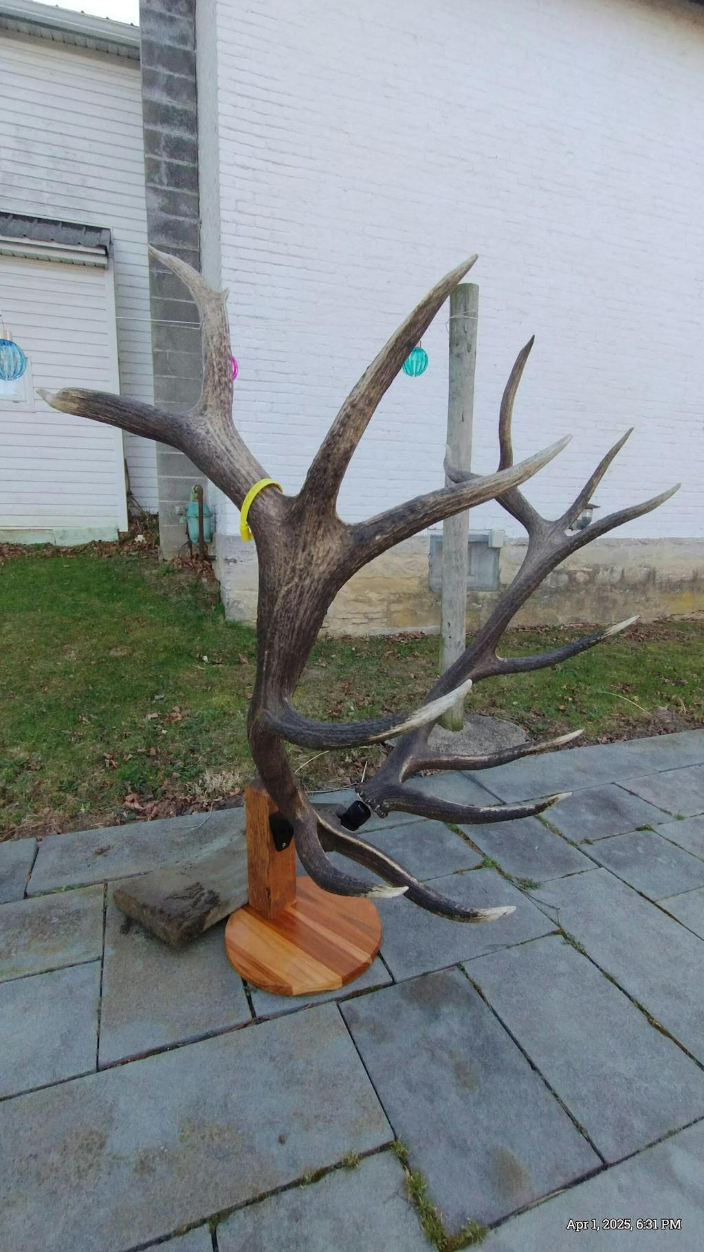 RH2 XL - DIY BIG GAME ANTLER MOUNTING SYSTEM – RACK HUB®