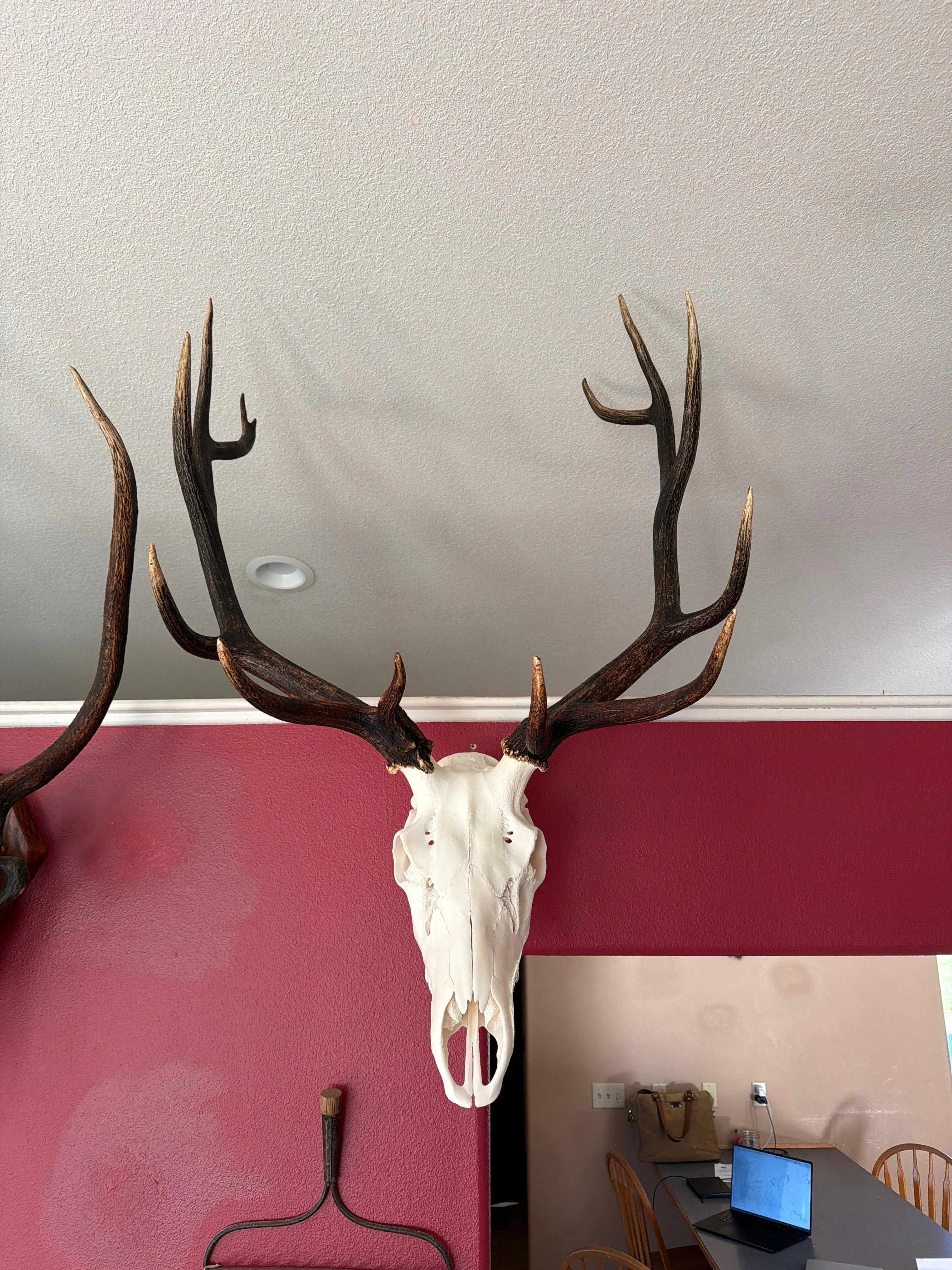 RHE XL | Euro Mount Display