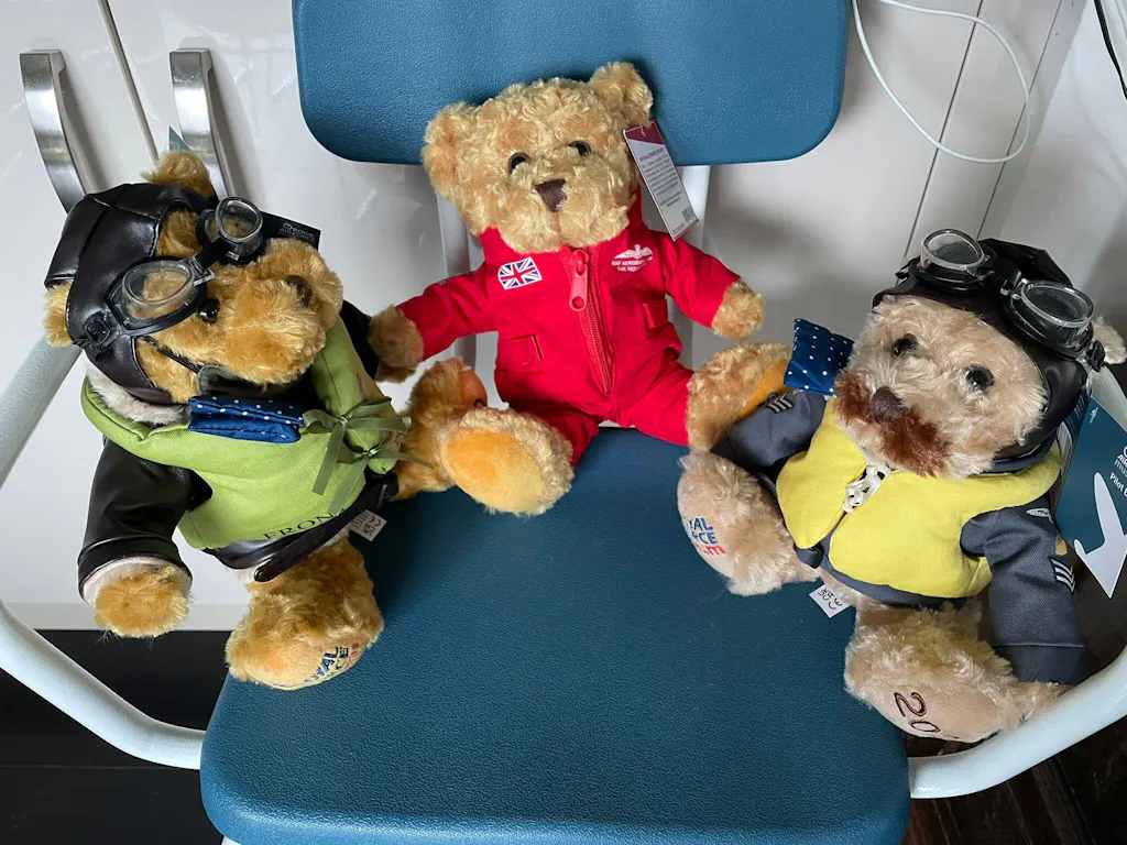 Red Arrows Plush Teddy Bear – RAF Museum Shop