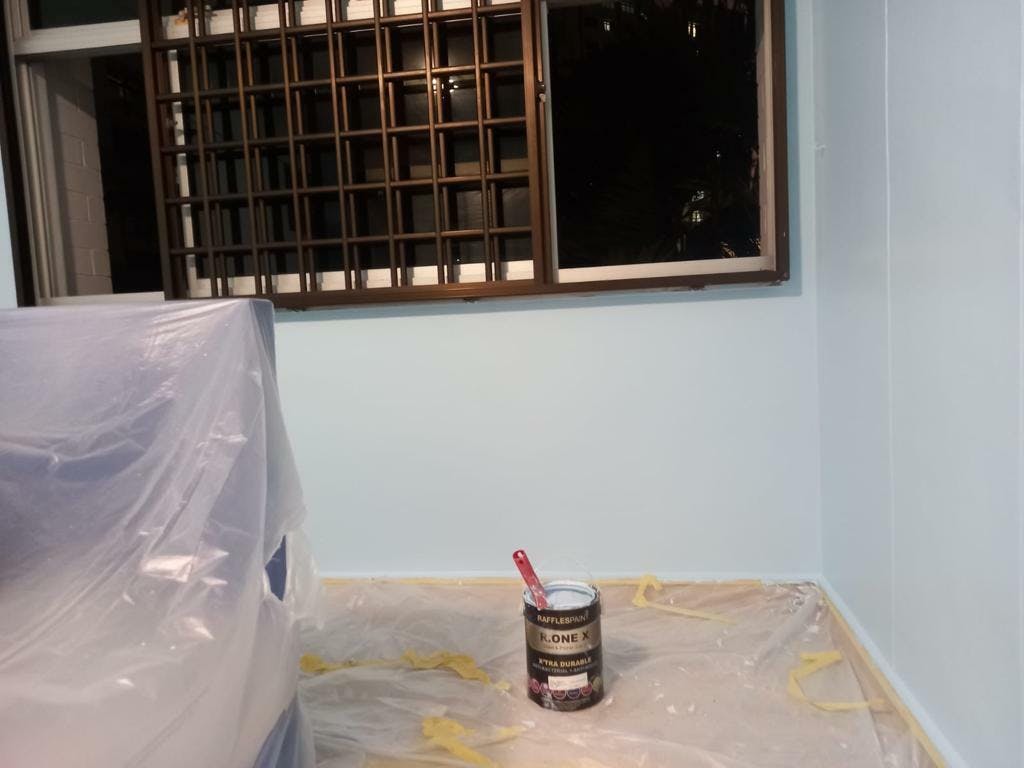 R.ONE X Colour Selection - Apply "RP10" for 10% OFF – Raffles Paint Pte Ltd