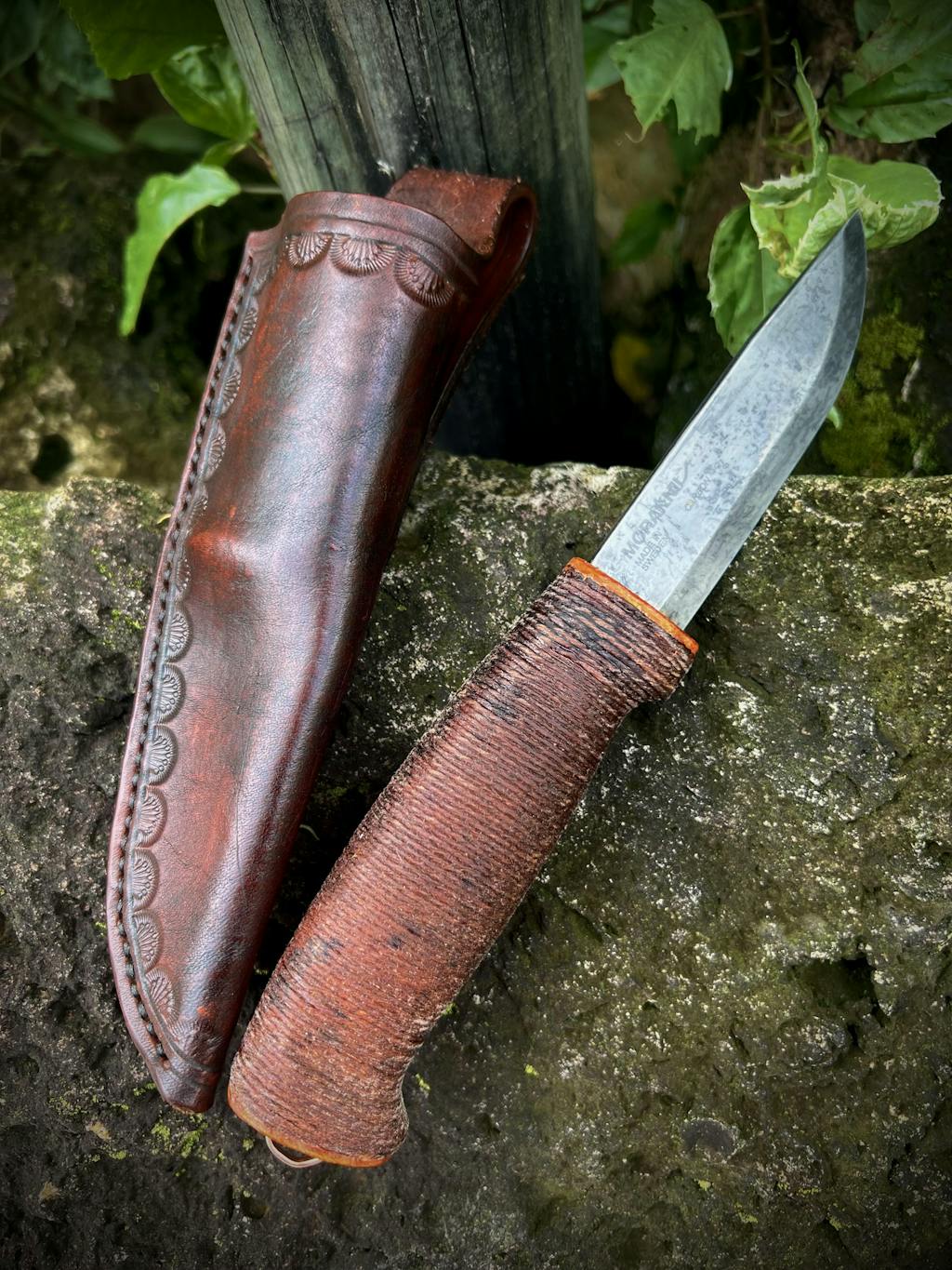 Mora Pro Series ROBUST