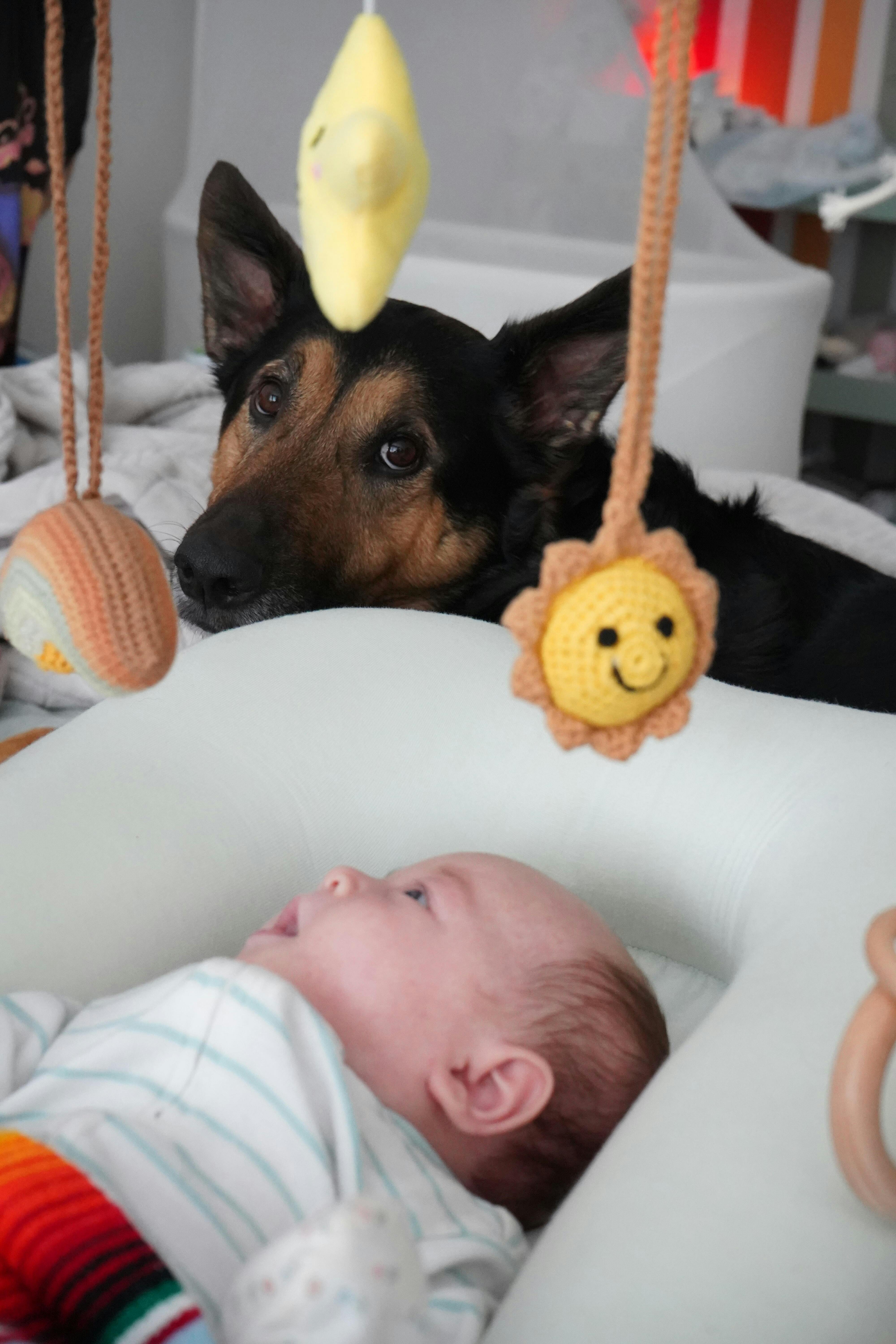 Rahoo Baby 3-in-1 Newborn/Infant Baby Lounger | Rahoo Learn & Lounge ...