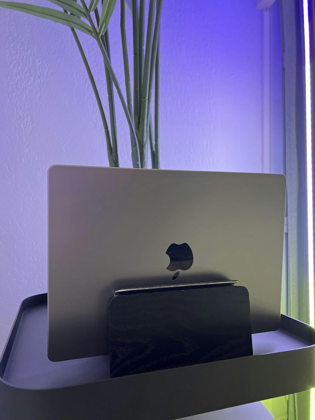 Vertical Laptop Stand Clamshell Macbook Holder Dual Slot | Black Wood