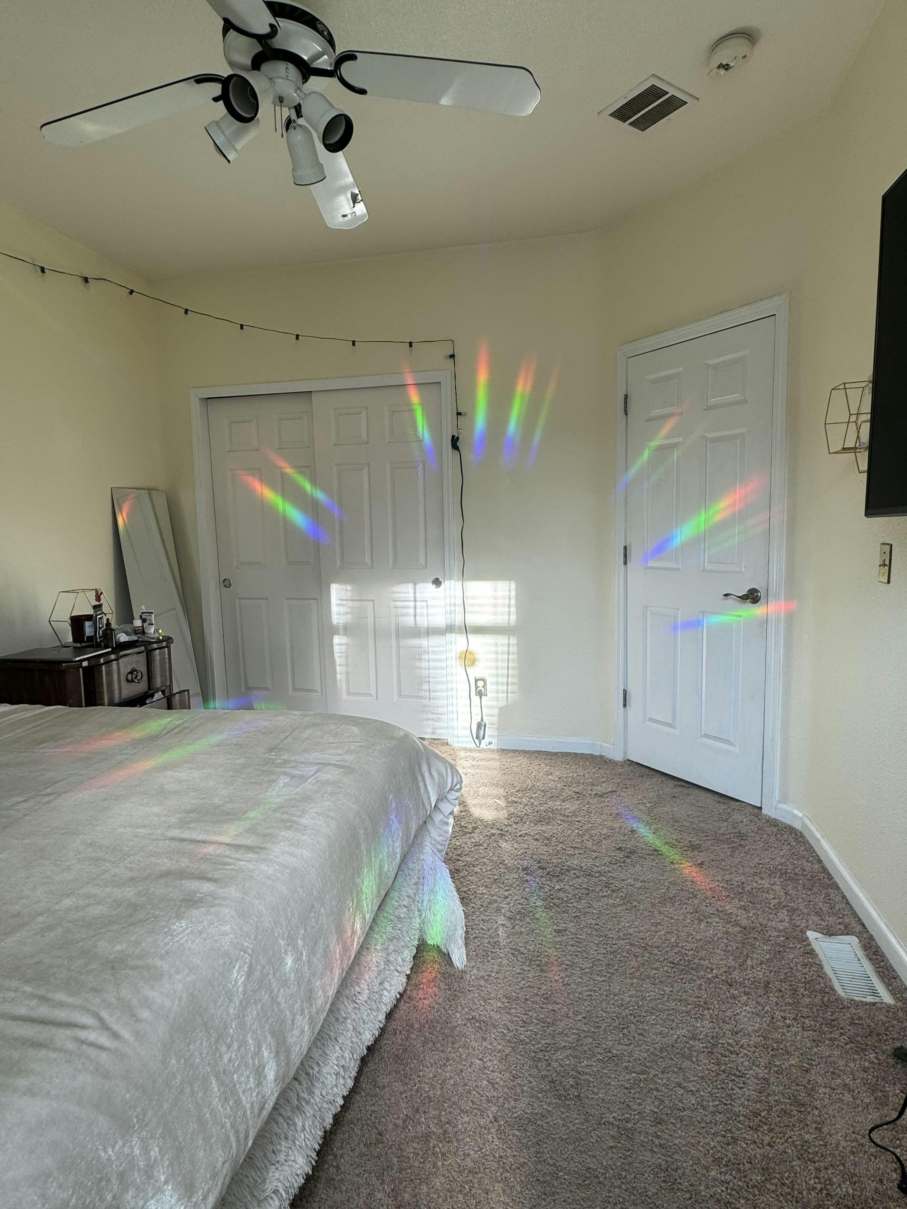 Magic Mushroom Sun Catcher Sticker – Rainbow Spaces