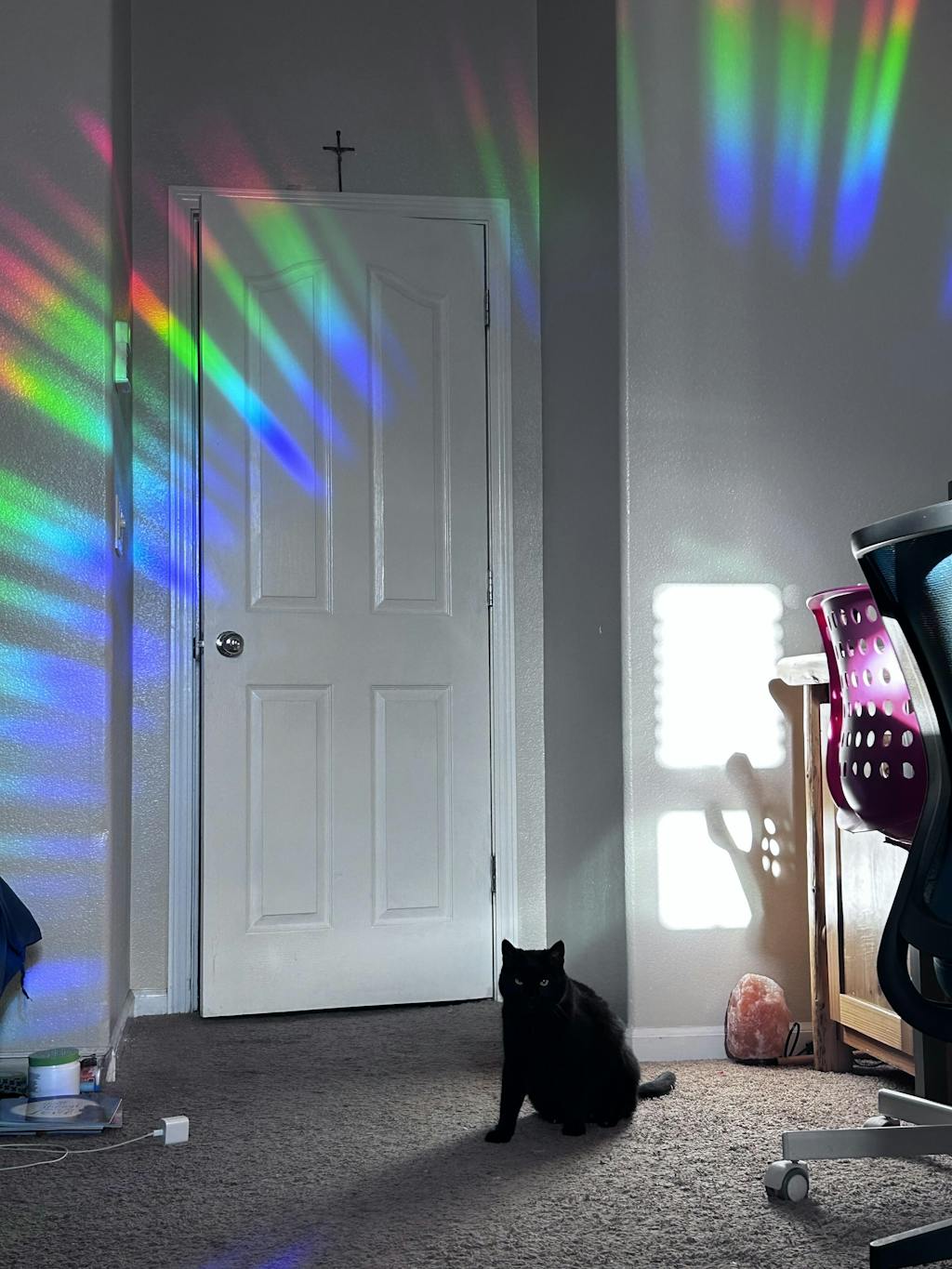 Jumbo Clear Sun Catcher Sticker – Rainbow Spaces