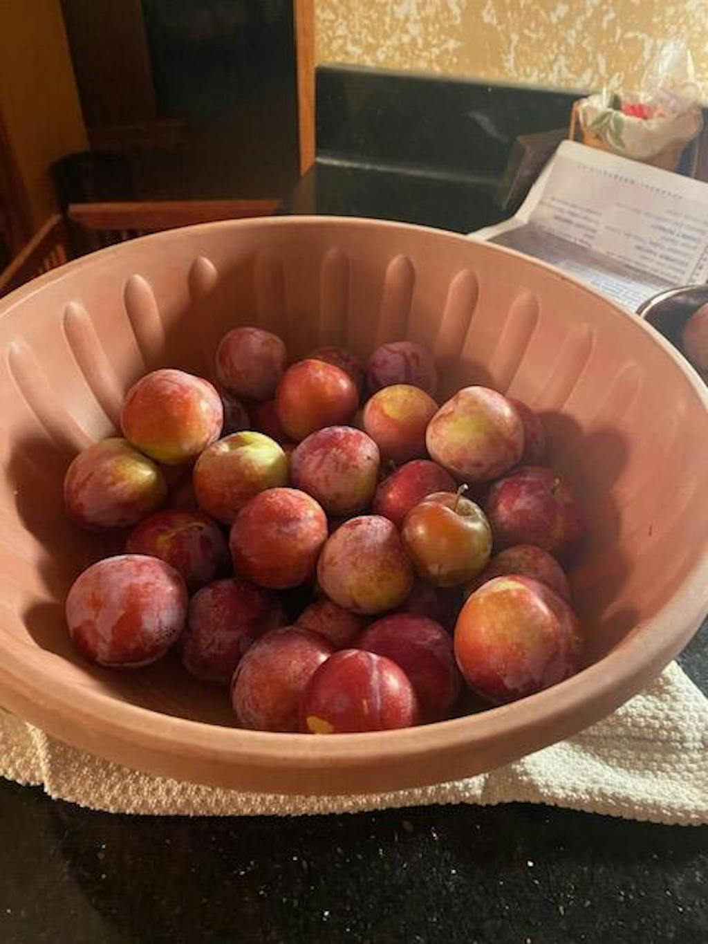 Weeping Santa Rosa Plum — Raintree Nursery