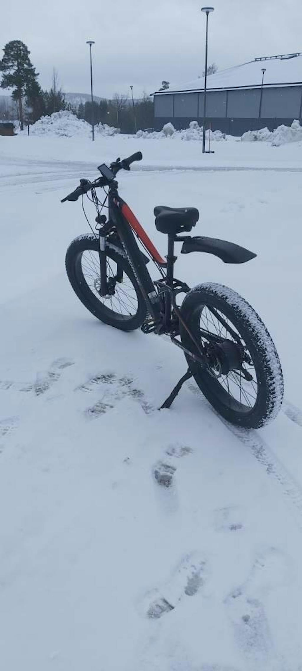 RANDRIDE Full Suspension Fat Tire Electric Bike 1000w Electric Bicycle