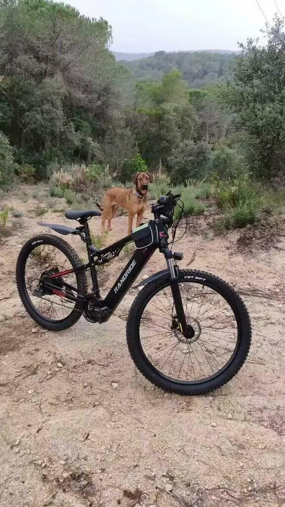 Full Dual Suspension Electric Mountain Bike 27 Speed Electric Cycle ...