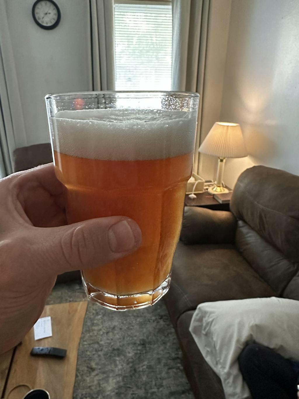 Organic Kombucha Culture SCOBY | Gaia Starter Liquid