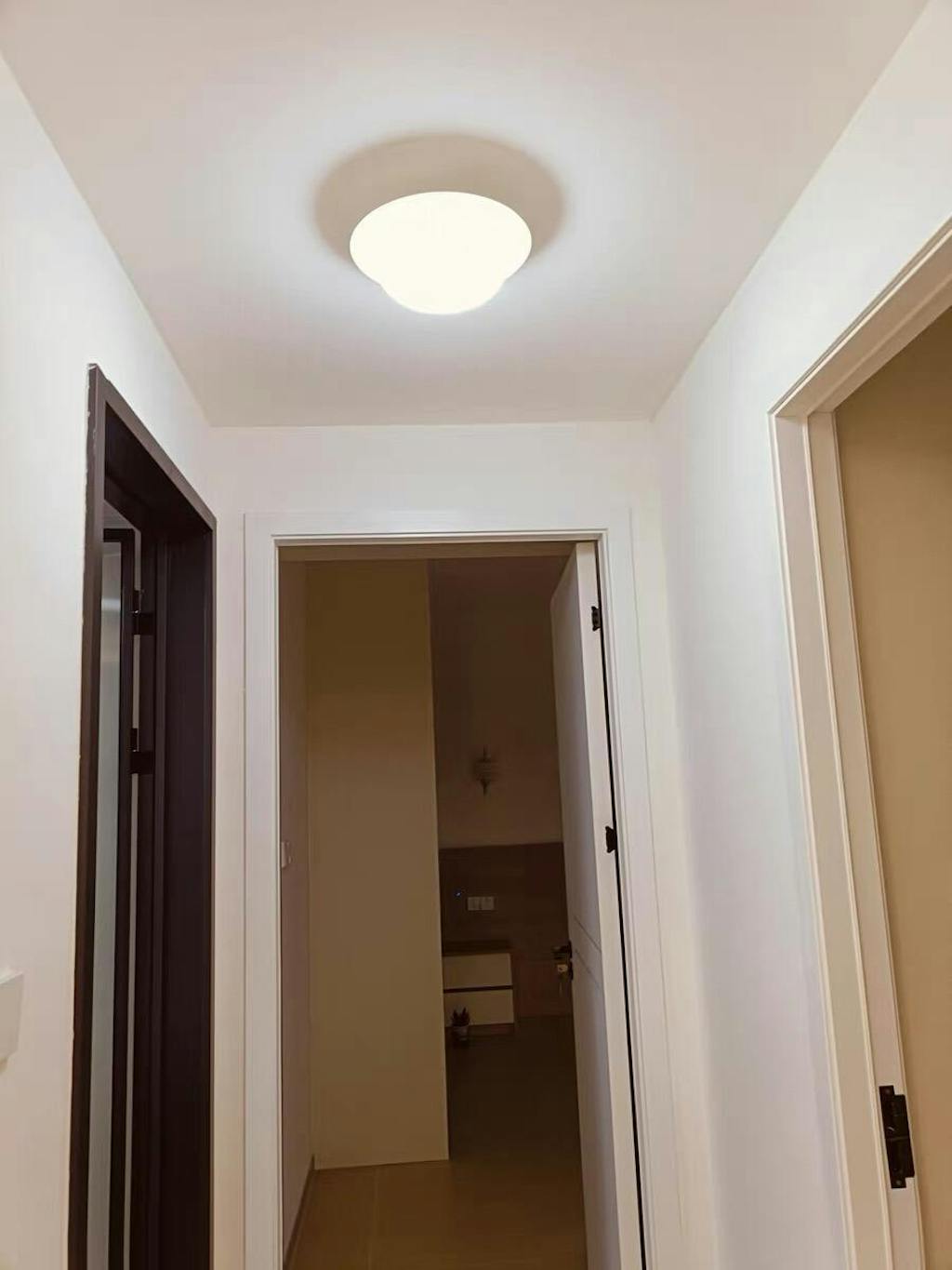 Bomba Ceiling Light