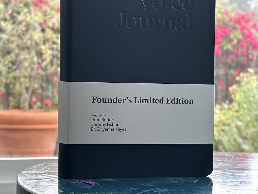 Voice Journal – Rayvox