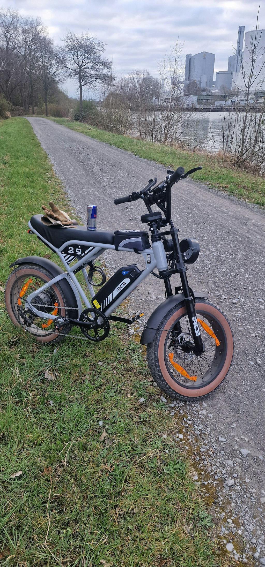 RCB RK29 Electric Bike for Adults(RCB E BIKE)