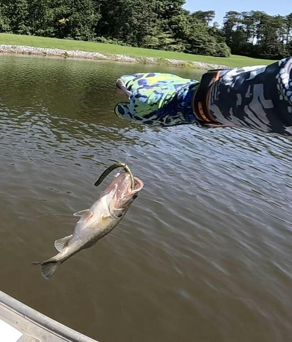 Reaction Tackle high quality fishing tackle and equipment