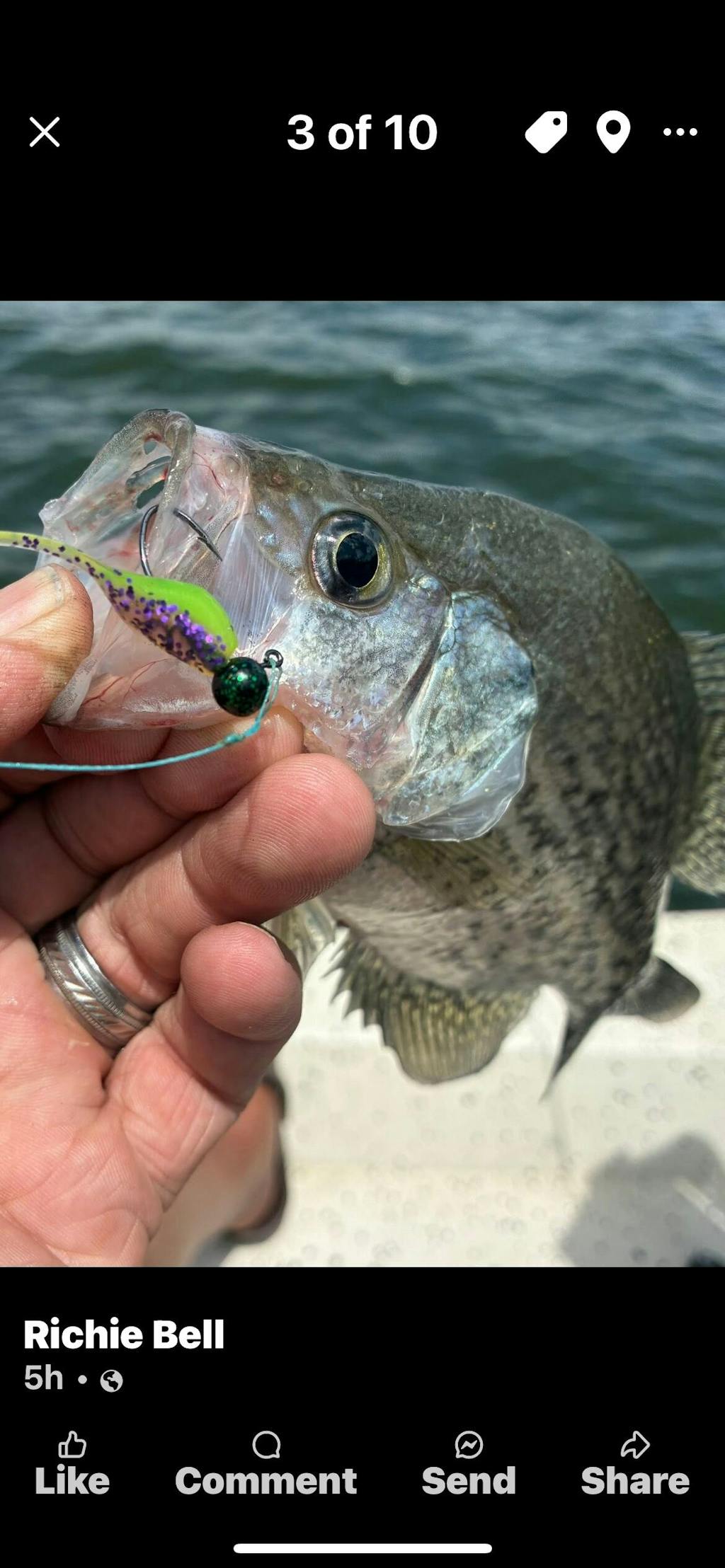 Battle of the Shaky Heads: The Best Shaky Head Jigs for Clear vs. Murky ...