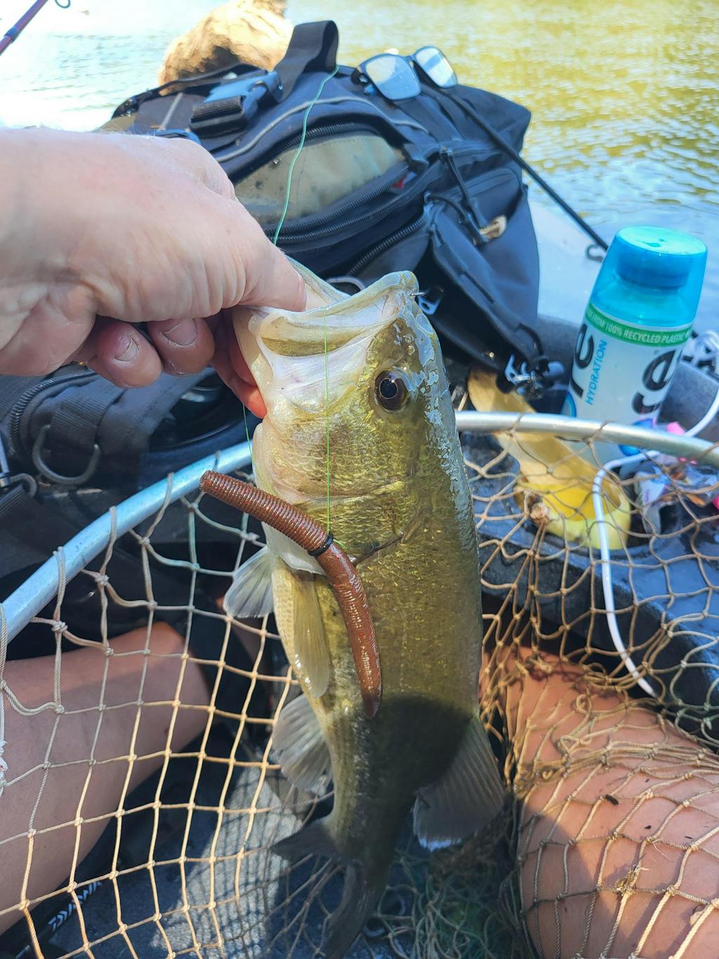 Fishing Leaders 101: Your Guide to the Perfect Fishing Setup | Reaction ...