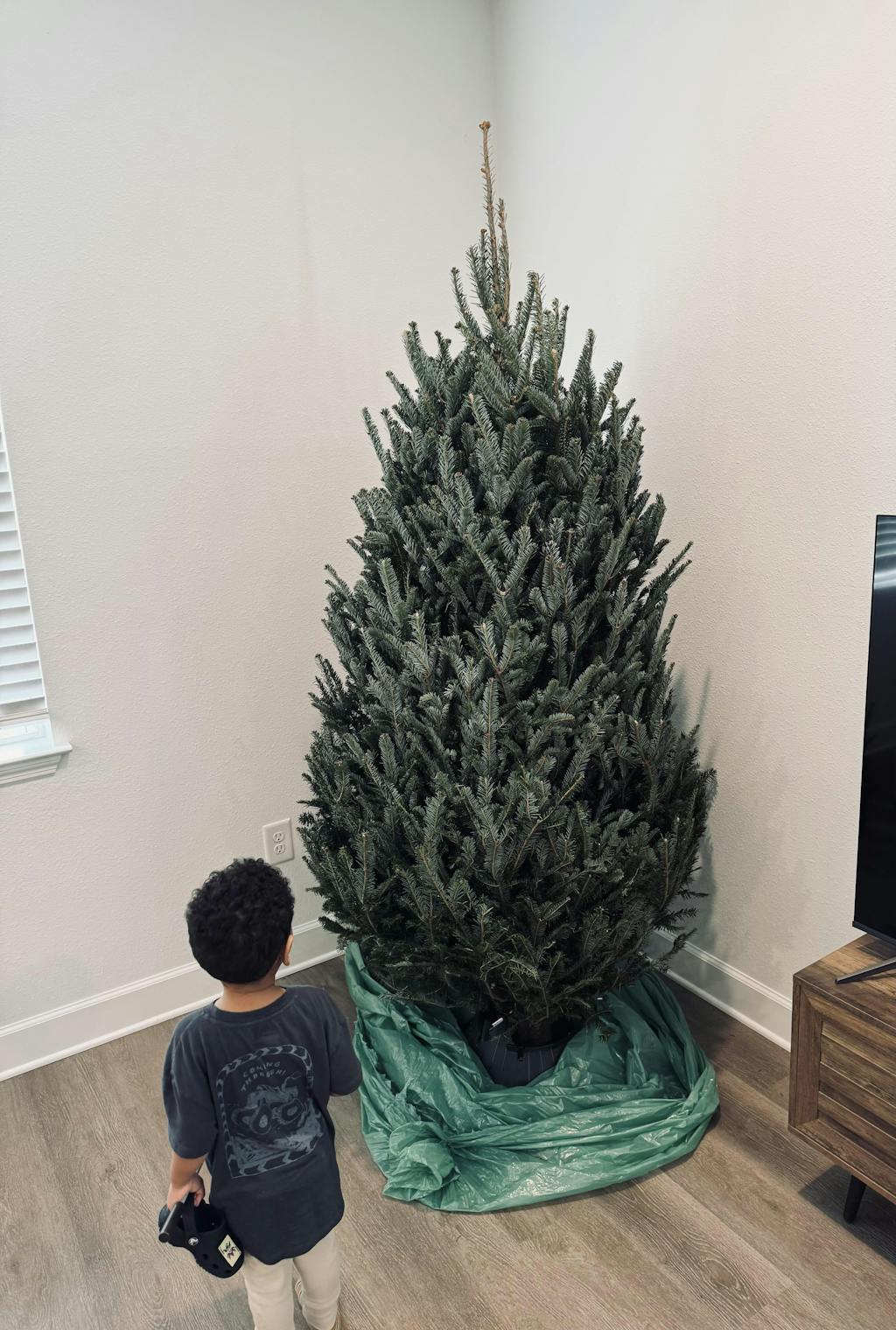 Real Christmas Delivered