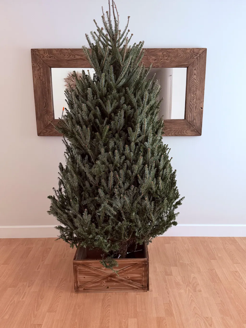 Real Christmas Delivered