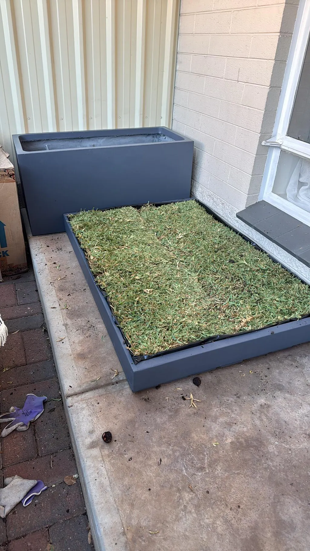 Reviews – Real Grass Puppy Potty