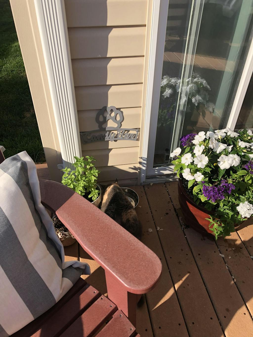 Reviews - RealSteel Center