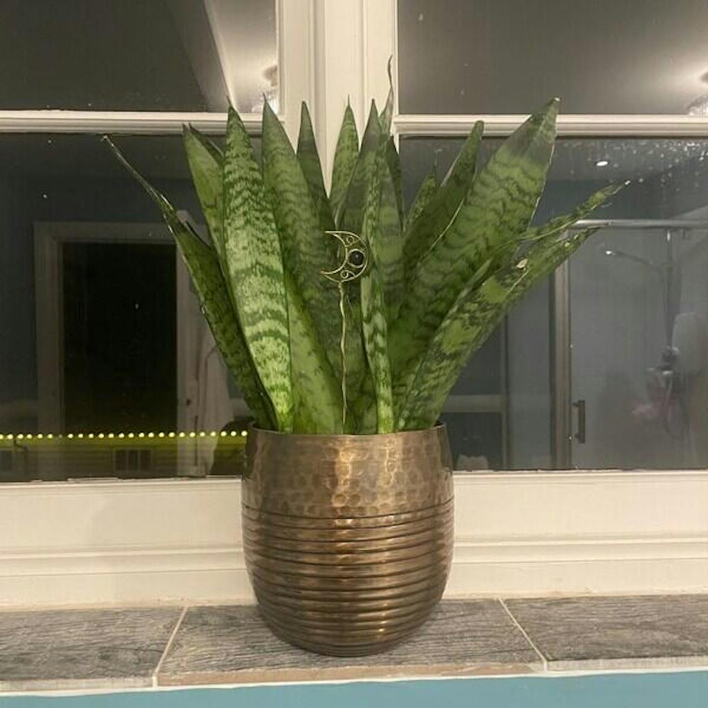 Fabio Metal Plant Pots, Handmade Brass Antique, XL Pots